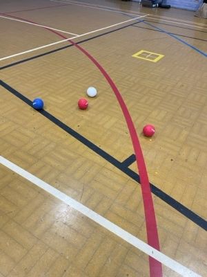 Boccia Ball Set - Atlantic Trampolines